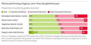 The truth about halal slaughterhouses – New English Review